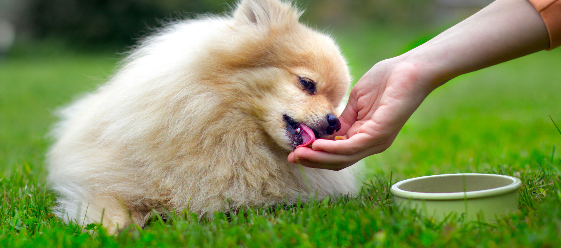 Sashas邃 Joint Health Products